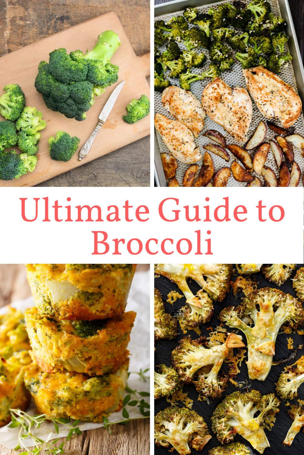Everything You Need to Know About Broccoli - Slender Kitchen